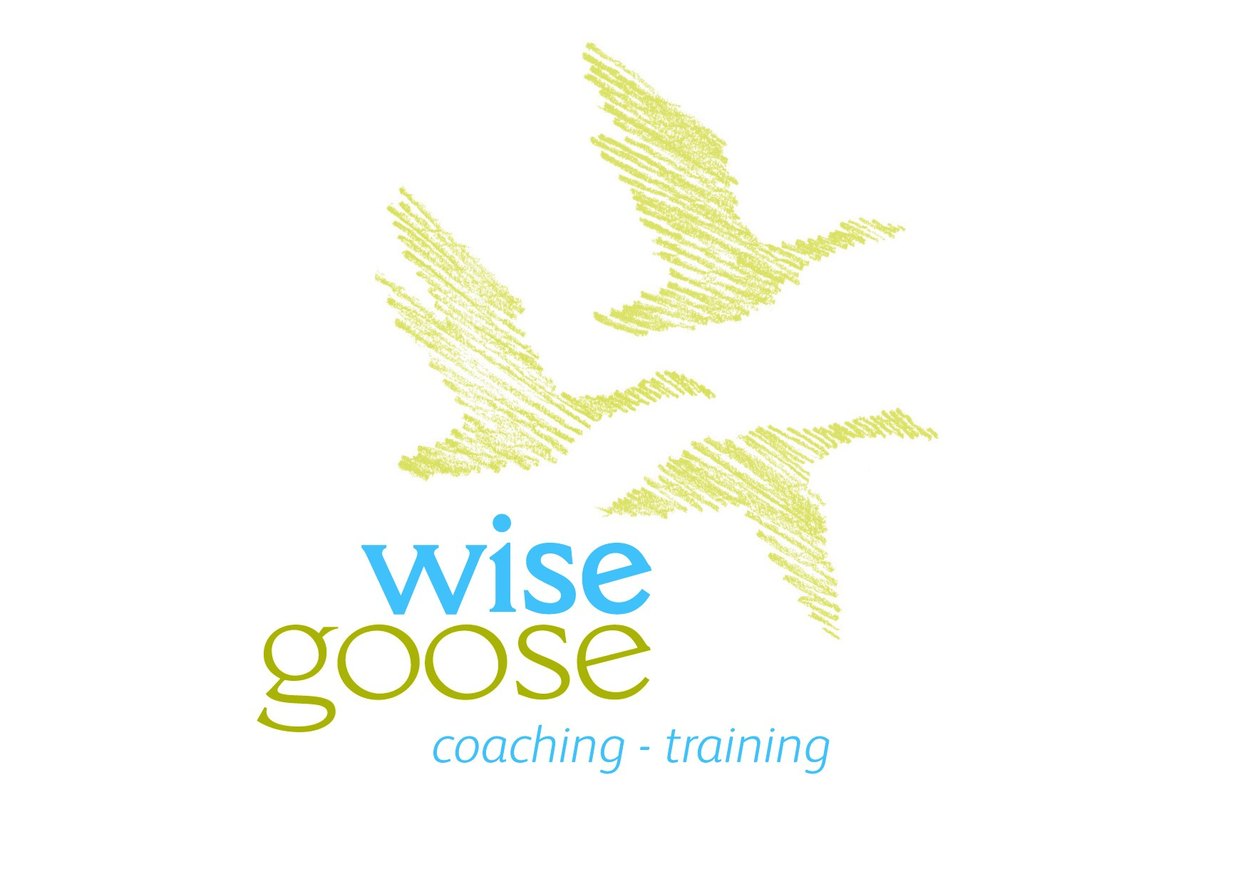 Wise Goose on The Impact Reporting Archive